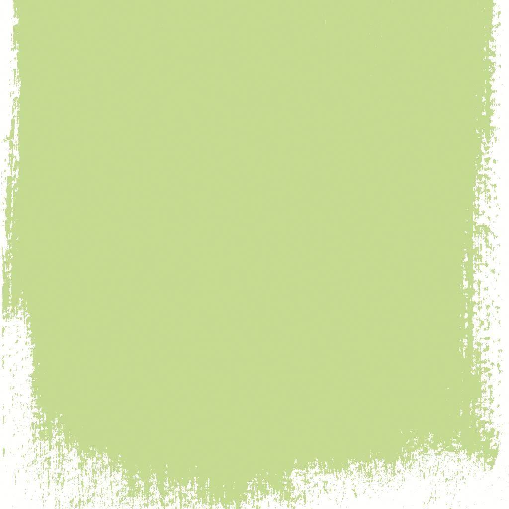 Paint Designers Guild Mimosa Leaf No. 101 – Stoc Casa