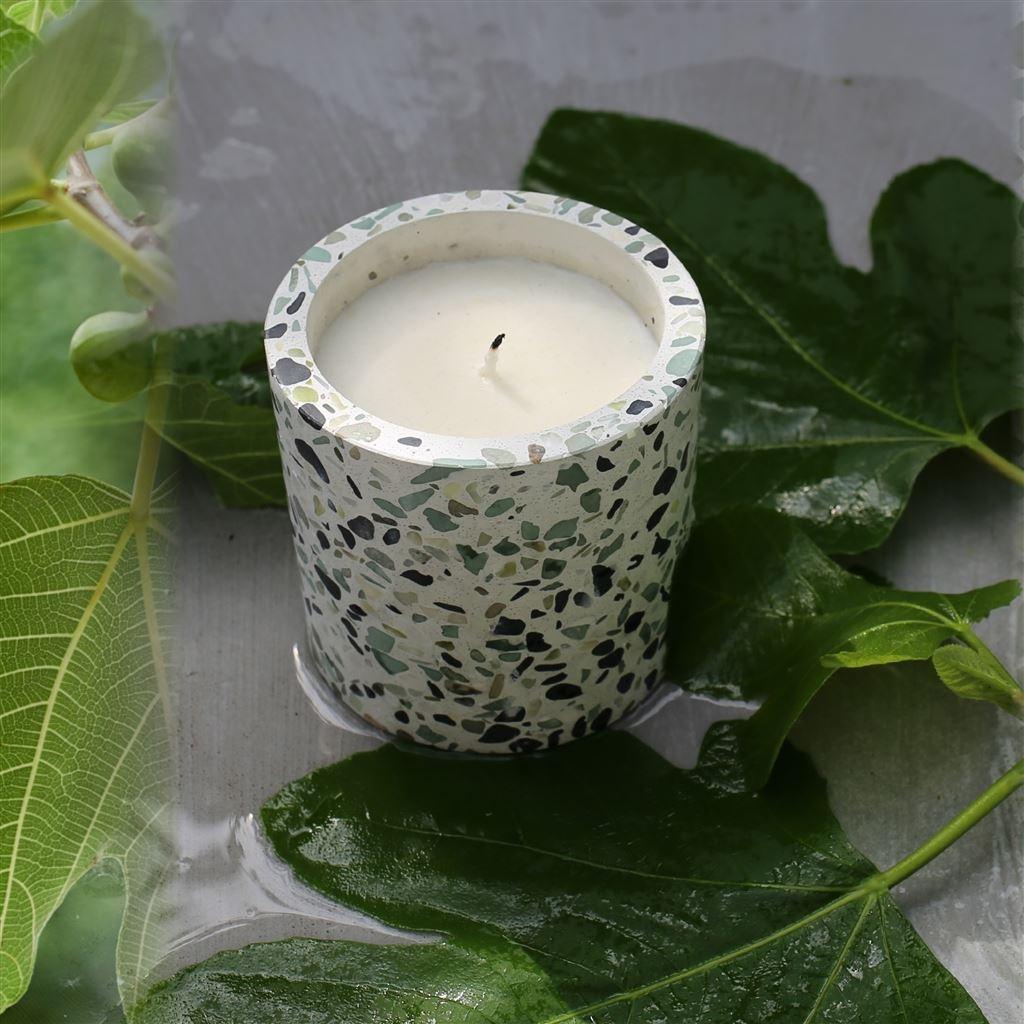 Designers Guild Green Fig Candle 300g – Stoc Casa